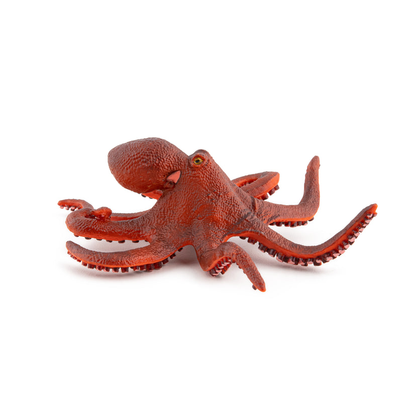 Figurine Petite pieuvre - L'univers marin | Papo France