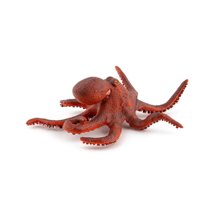 Figurine Petite pieuvre - L'univers marin | Papo France